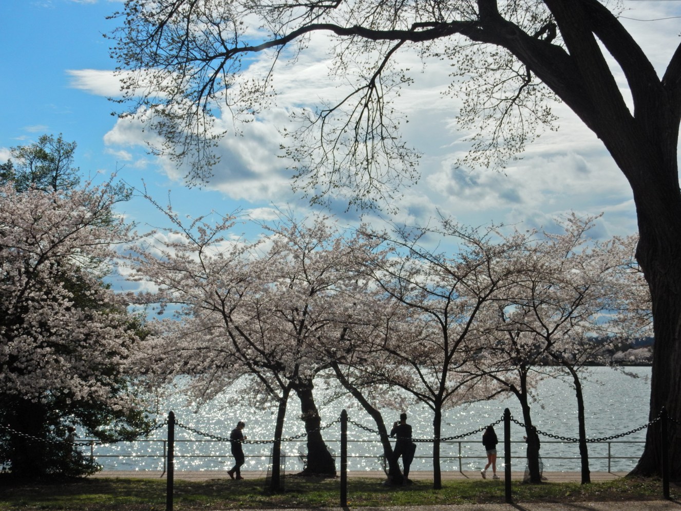 Spring Fling – Sarah In Style