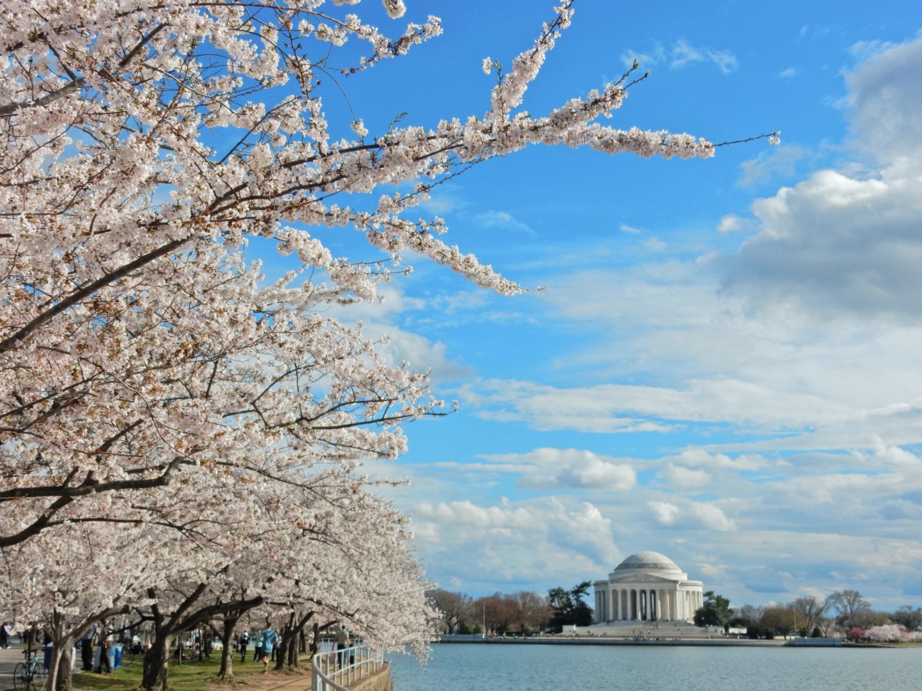 Spring Fling – Sarah In Style