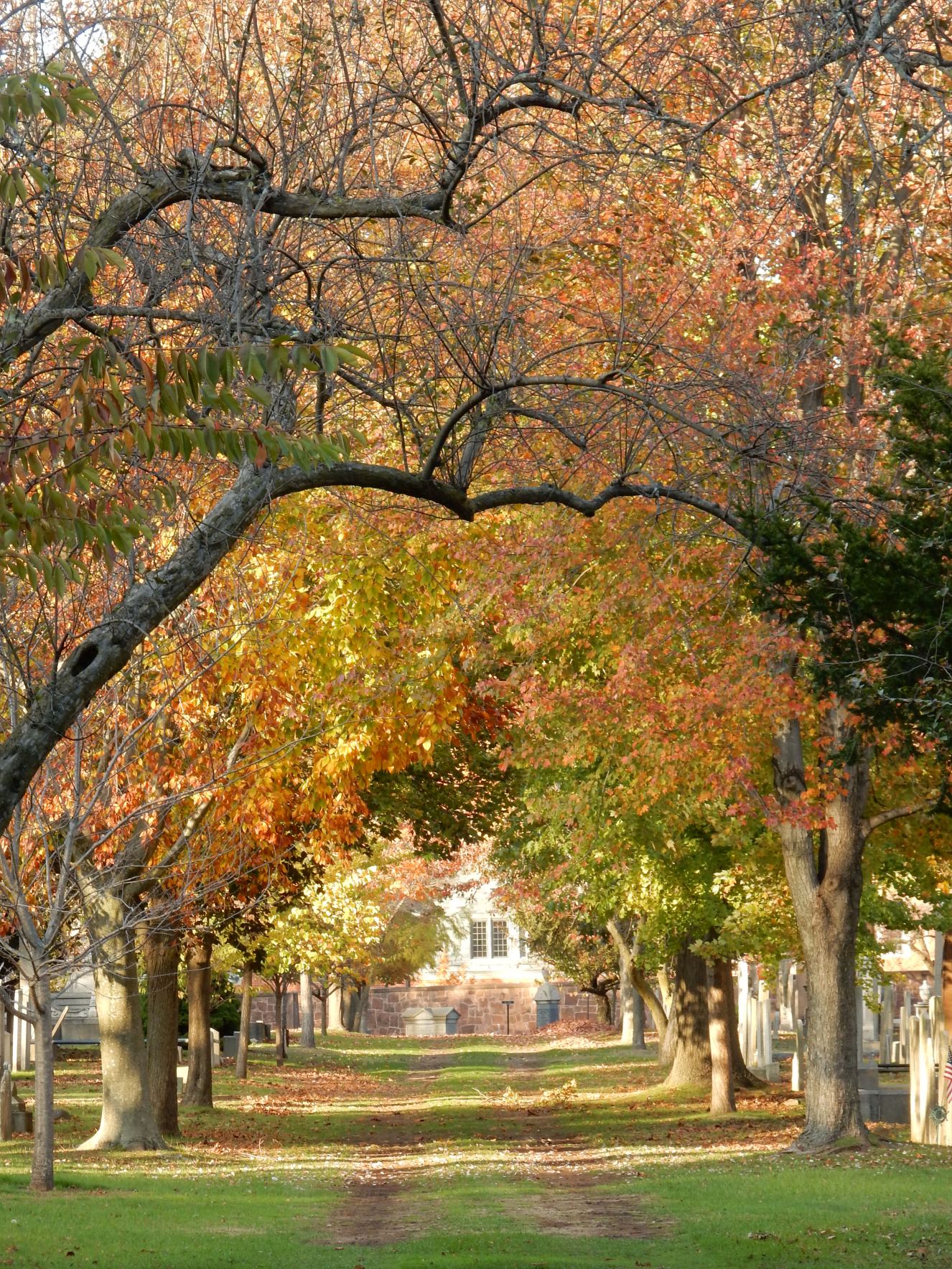 Smarty Pants: My Day at Yale – Sarah In Style