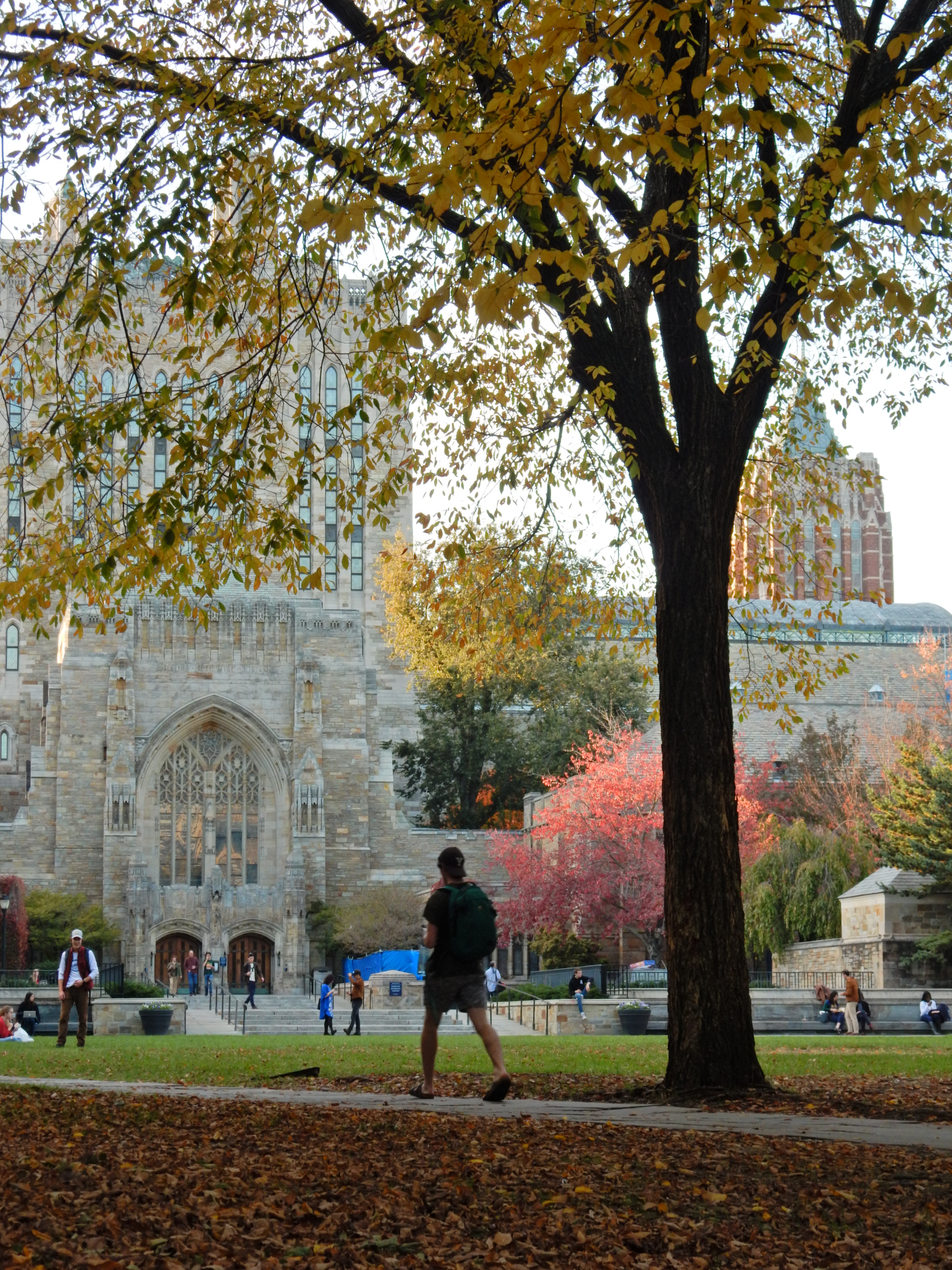 Smarty Pants: My Day at Yale – Sarah In Style